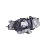 Trailmaster 200EFI Engine Assembly, Complete (168.9cc) for EFI Vehicles ...