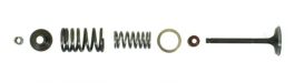 Intake Valve Kit for 250cc (172MM-022001-Kit)